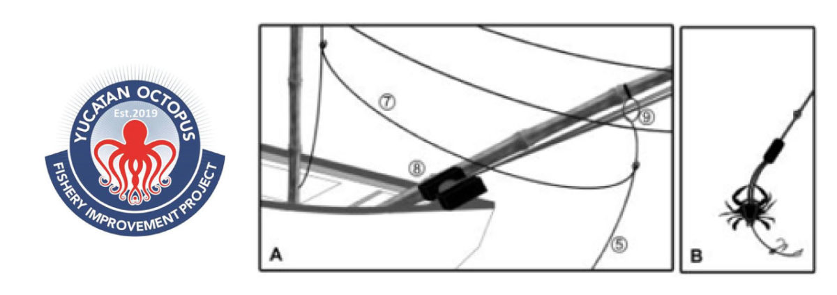 Octopus Maya - LP Foods Pte Ltd